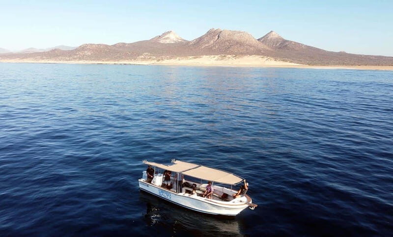 San Jose del Cabo Snorkeling Tour - The Sum Up