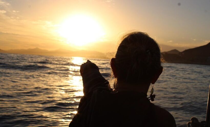 San Jose del Cabo Sunset Whale Watching - Exploring the Sunset Whale Watching Tour