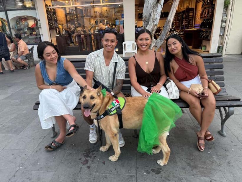 San José del Cabo: Thursday Night Art Walk Tour - The Mixed Reviews — What You Should Know