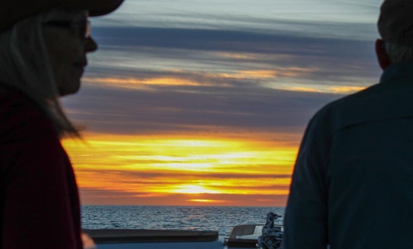 San Jose del Cabo Whale Watching Sunrise Tour - Practical Tips for Booking and Preparation