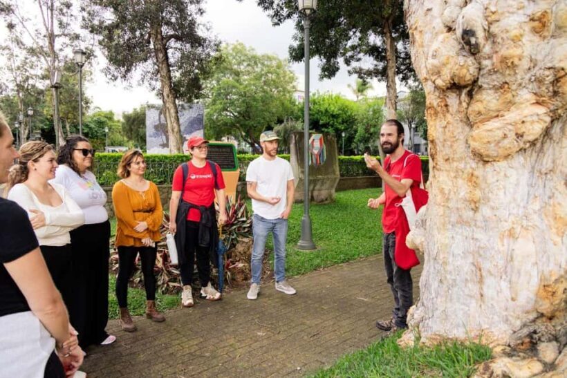 San José: Night Food and Culture Tour with Dinner - Value and Practical Tips