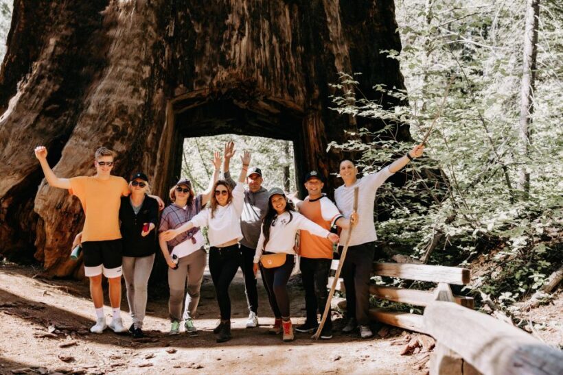 San Jose: Yosemite National Park and Giant Sequoias Trip - A Detailed Look at the Yosemite Tour Experience