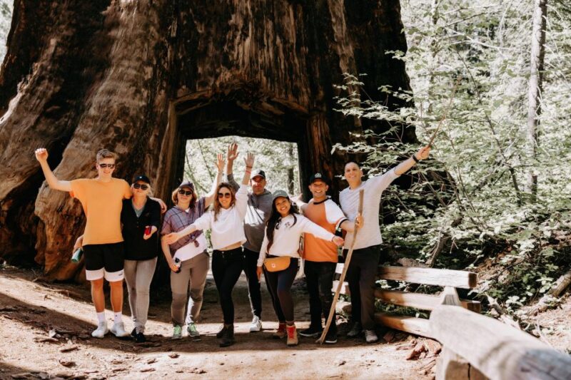 San Jose: Yosemite National Park and Giant Sequoias Trip - Key Points
