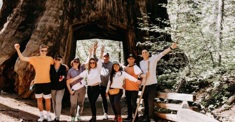San Jose: Yosemite National Park and Giant Sequoias Trip - Who Would Love This Tour?