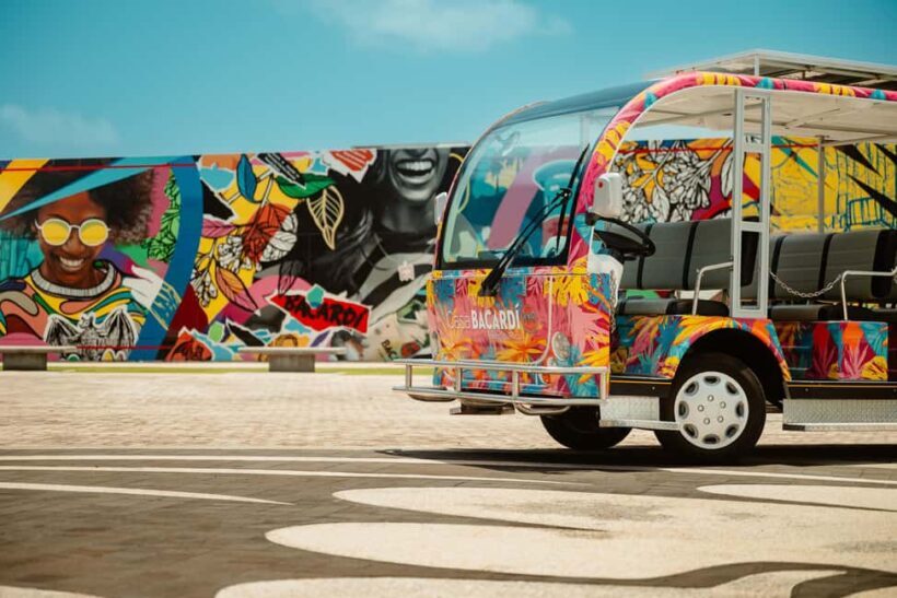 San Juan: Casa Bacardi Distillery Tour - Exploring the Tour Options
