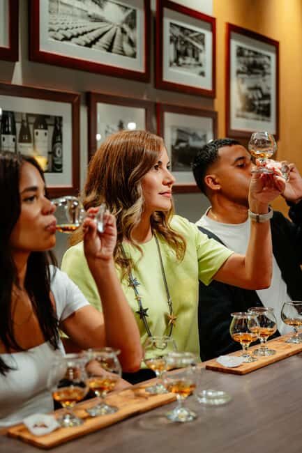 San Juan: Casa Bacardi Distillery Tour - Accessibility and Convenience