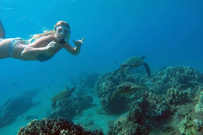 San Juan Guided Snorkel With Turtles Tour and Videos - Introduction