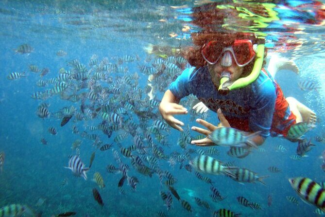 San Juan Guided Snorkeling Experience - With Transport 8am or 3pm - Practical Tips for Your Trip