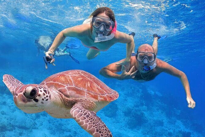 San Juan Guided Snorkeling Experience - With Transport 8am or 3pm - Frequently Asked Questions