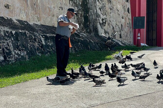 San Juan Highlights Private Guided Tour - Frequently Asked Questions
