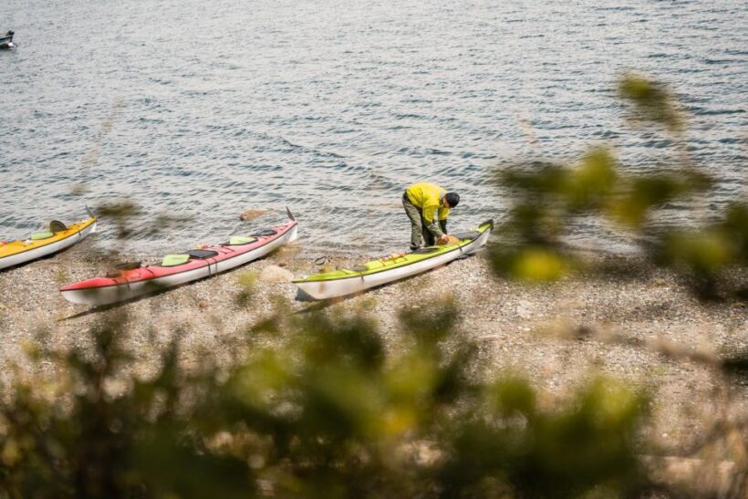 San Juan Island: 3-h Griffin Bay Tour - Starting Point and Logistics