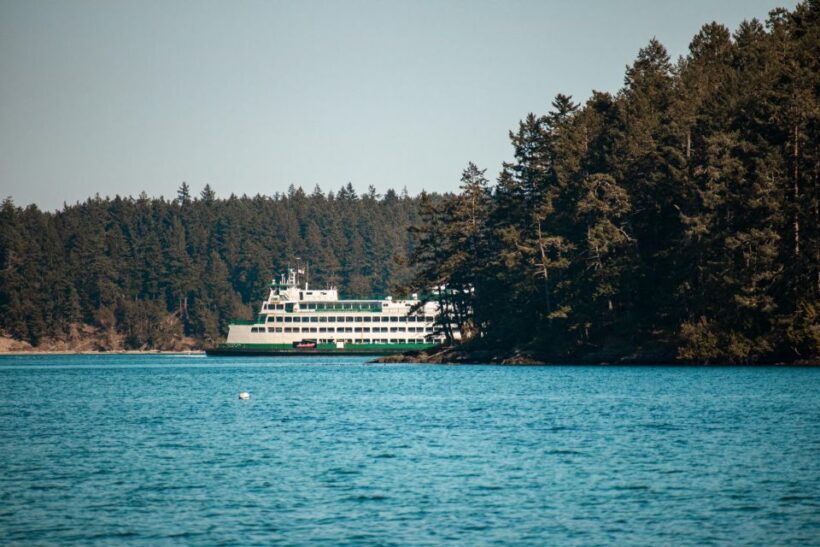 San Juan Island: 3-h Griffin Bay Tour - Pricing and Value