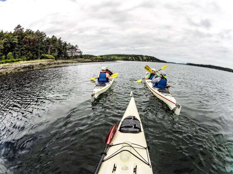 San Juan Island: Full Day Kayaking Tour with Lunch - San Juan Island: Full Day Kayaking Tour with Lunch – A Review of an Authentic Marine Adventure