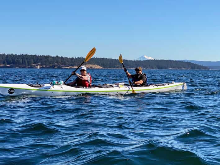 San Juan Island: Full Day Kayaking Tour with Lunch - Key Points