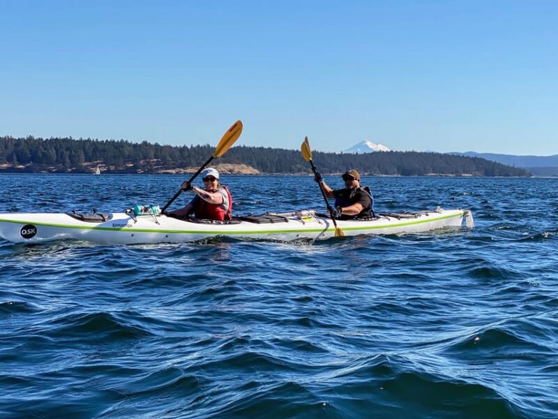 San Juan Island: Full Day Kayaking Tour with Lunch - The Quality of Experience: What Past Travelers Say