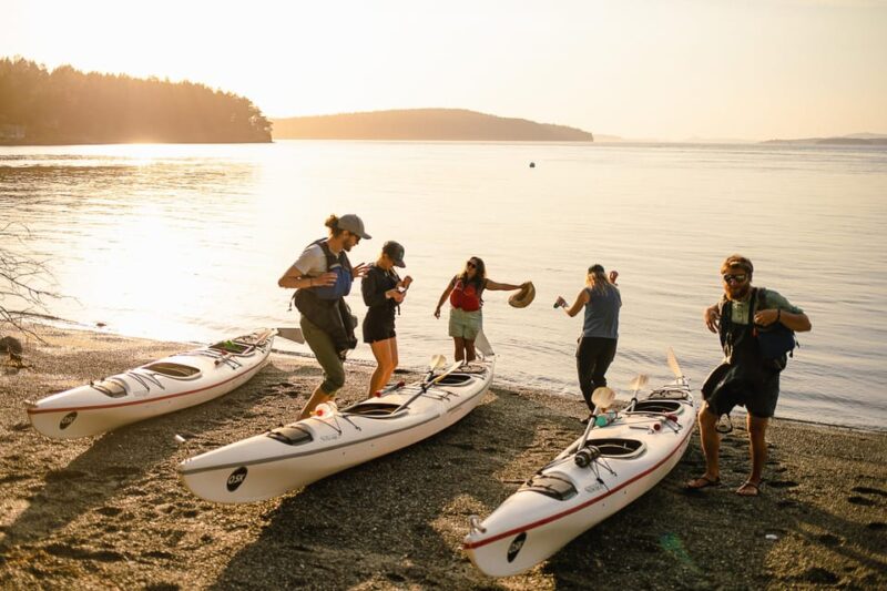 San Juan Island: Full Day Kayaking Tour with Lunch - Who Will Love This Tour?