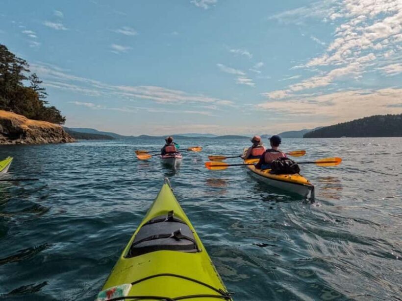 San Juan Island: Half- or Full-Day Lime Kiln Kayak Tour - Who Should Consider This Tour?