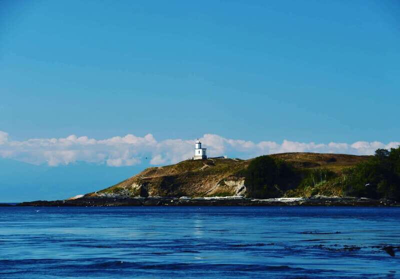 San Juan Islands: 3 Day Kayak and Camping Adventure - The Sum Up