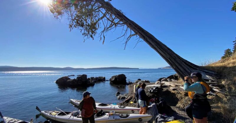 San Juan Islands: 3 Day Kayak and Camping Adventure - Key Points