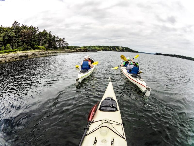 San Juan Islands: 3 Day Kayak and Camping Adventure - The Details That Make or Break the Experience