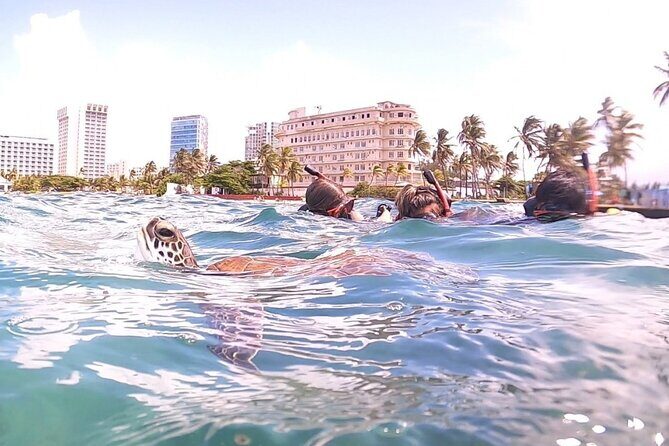 San Juan: Kids and Family Snorkeling Adventure with Videos - What the Reviews Reveal