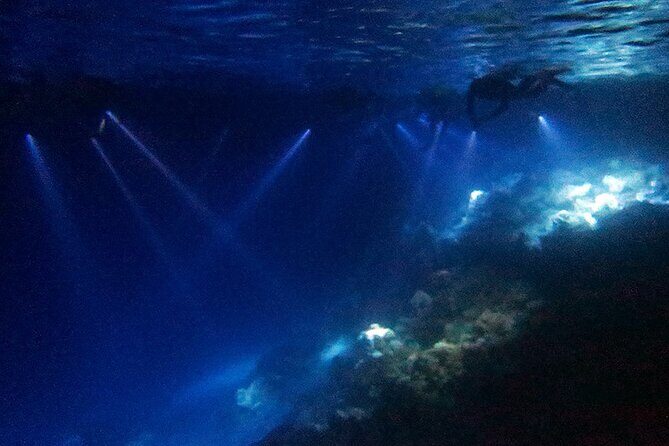 San Juan LED Night Snorkel - Who Would Love This Tour