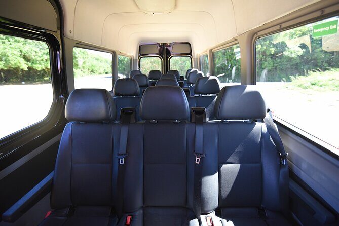 San Juan Luxury Private Round-Trip Transfer: SJU Airport - Cruise Pier - Hotel - What to Expect on Your Journey