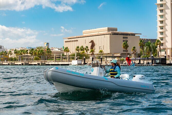 San Juan Mini Boat Tour - Value and Practicality: Is It Worth the Price?