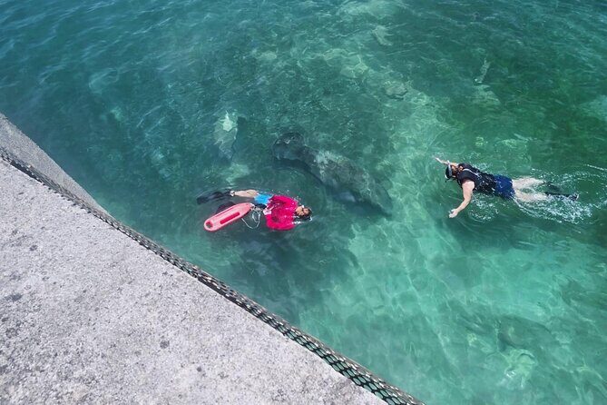 San Juan Snorkel with Turtles and Manatee's; Free Video and Rum! - An In-Depth Look at What to Expect