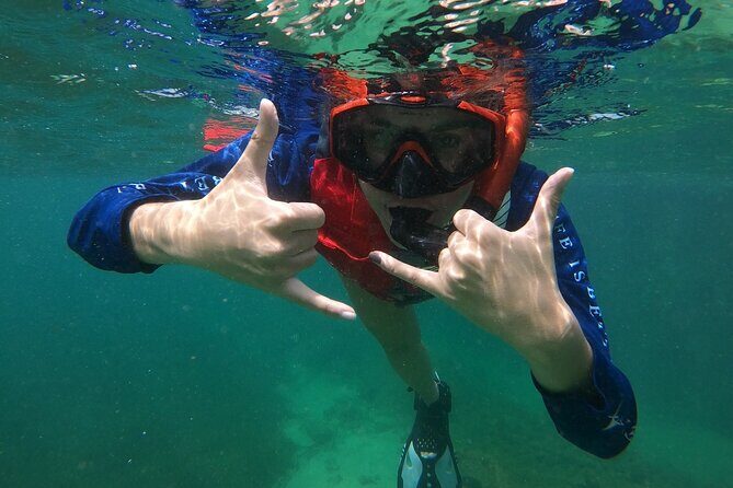 San Juan: Snorkeling with Turtles Adventure and Free Videos - The Equipment and Safety