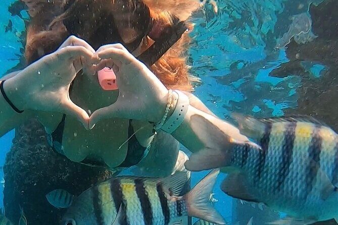 San Juan: Snorkeling with Turtles Adventure and Free Videos - Practical Tips for Your Tour