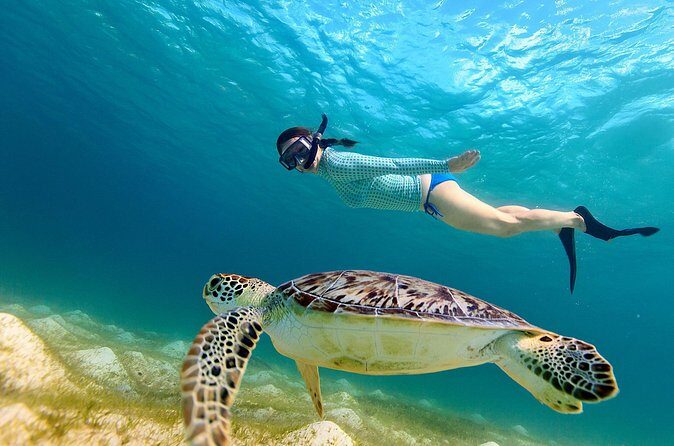 San Juan Turtle Spotting Snorkel Adventure with Videos - Who Is This Tour Best For?