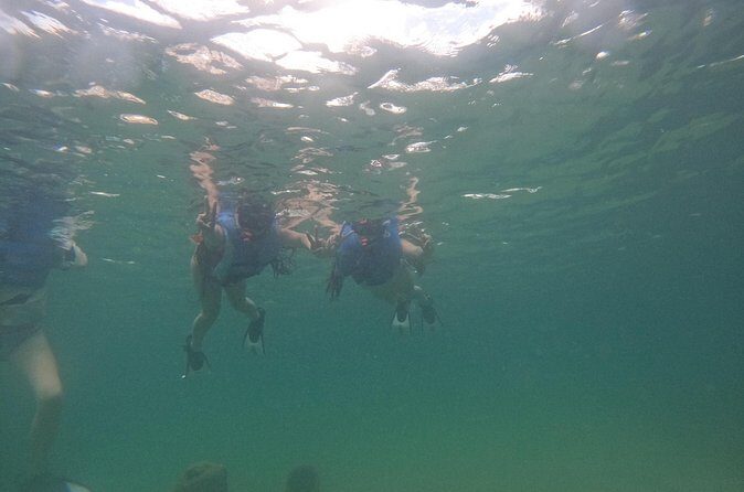 San Juan Turtle Spotting Snorkel Adventure with Videos - Final Thoughts: Is It Worth It?