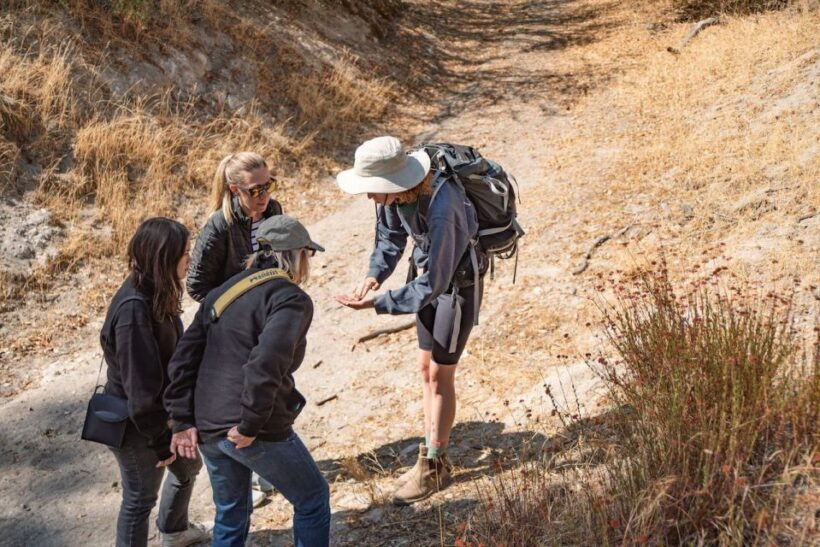 San Luis Obispo: Margarita Ranch Foraging Tour - How the Tour Fits into a Broader Trip