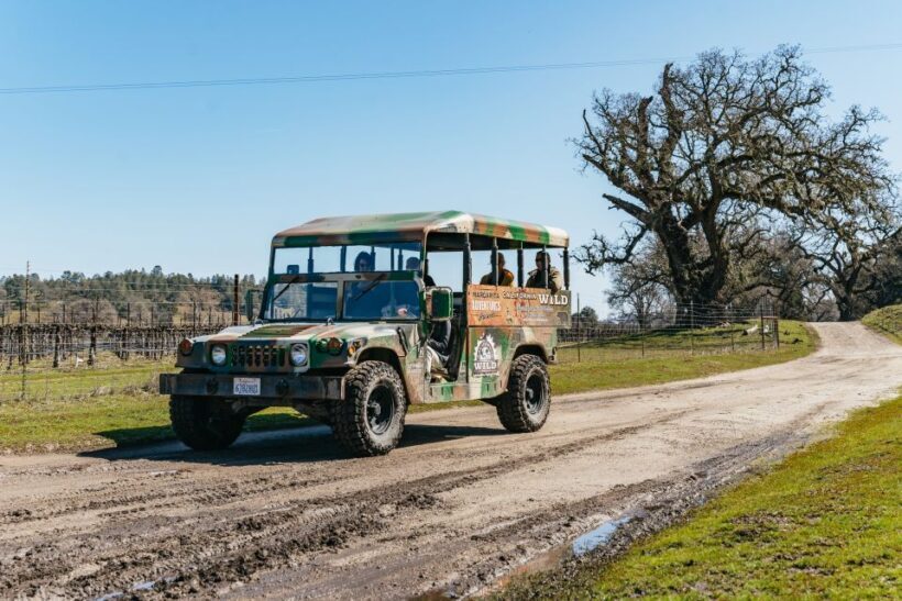 San Luis Obispo: Santa Lucia Guided Nature Tour - An Authentic, Educational Off-Road Adventure