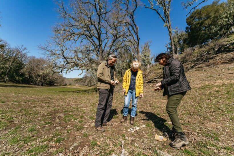 San Luis Obispo: Santa Lucia Guided Nature Tour - What the Itinerary Looks Like