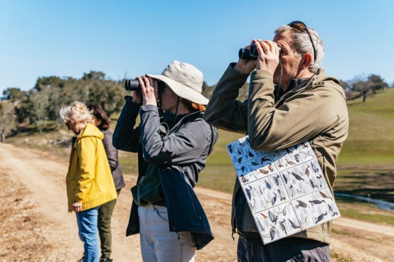 San Luis Obispo: Santa Lucia Guided Nature Tour - Who This Tour Is Best For