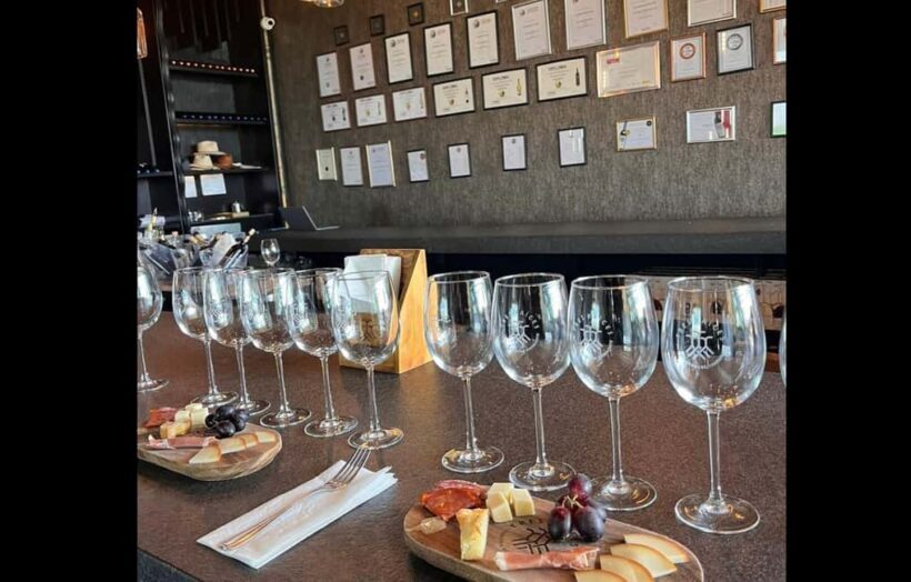 San Miguel Allende: Guanajuato Wine Route vineyard tour - An In-Depth Look at the Vineyard Tour Experience