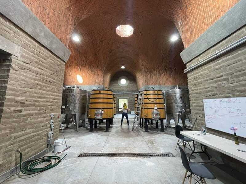 San Miguel de Allende: A Journey Through Vineyards - Who is This Tour Best For?