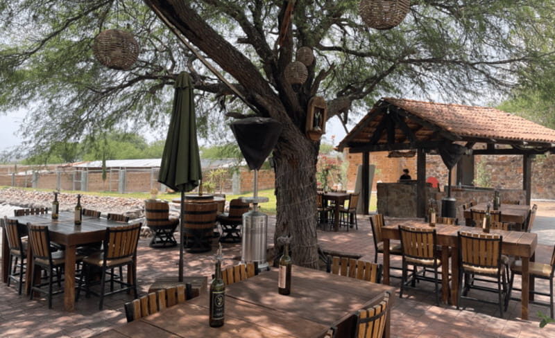 San Miguel de Allende: A Journey Through Vineyards - Final Thoughts
