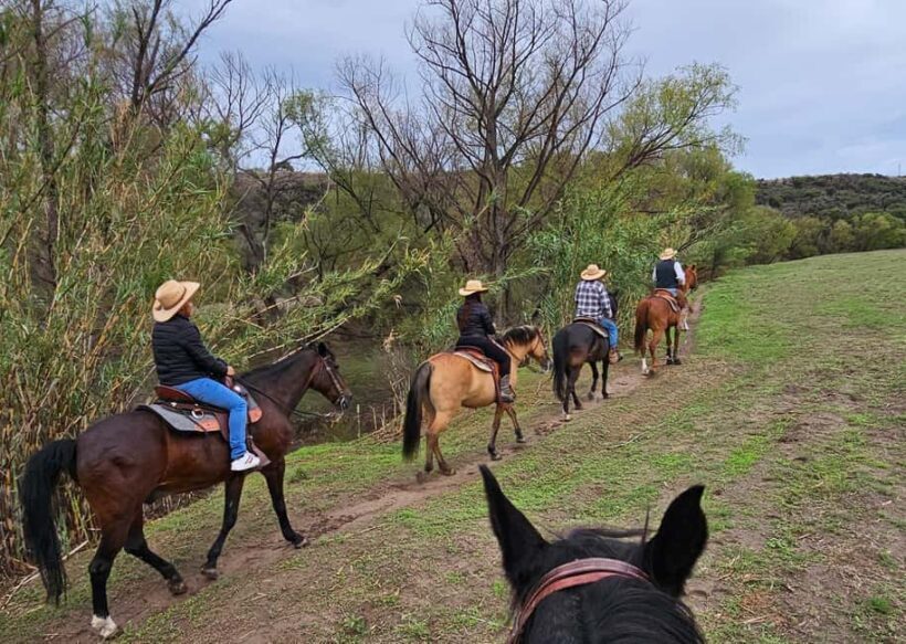 San Miguel de Allende: Breakfast Horseback Ride To Nirvana - Final Thoughts