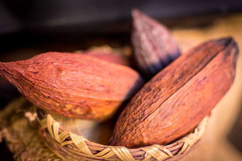 San Miguel de Allende: Chocolate Tasting and Walking Tour - What Reviewers Say