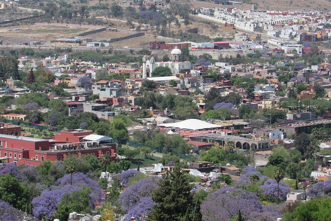 San Miguel de Allende Driving Tour - What This Tour Offers