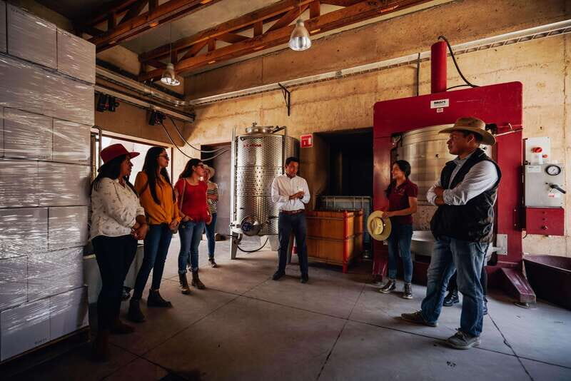 San Miguel de Allende: Independence Valley Wine Route - Final Thoughts