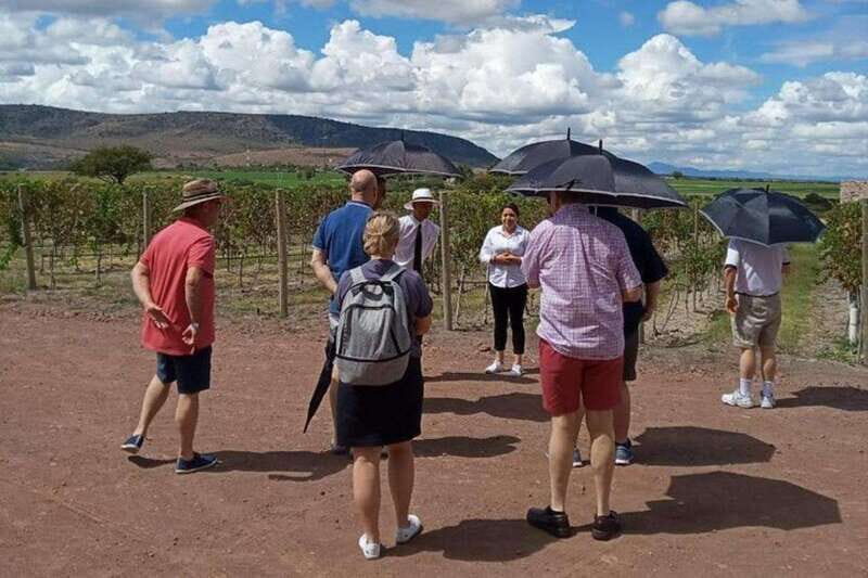 San Miguel de Allende: Local Vineyard Tour & Wine Tasting - Key Points