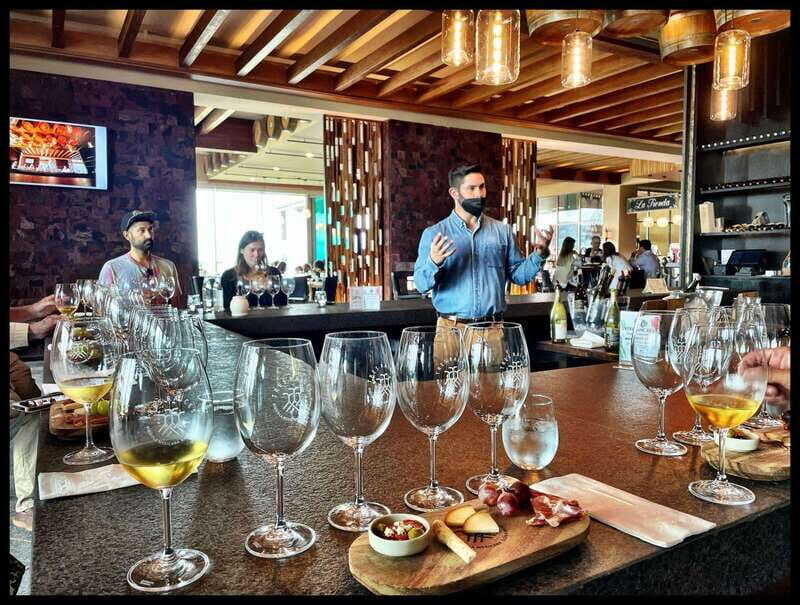 San Miguel de Allende: Local Vineyard Tour & Wine Tasting - Who Should Consider This Tour?