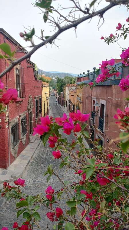 SAN MIGUEL SUNSET WALKING TOUR - Who Should Consider This Tour?