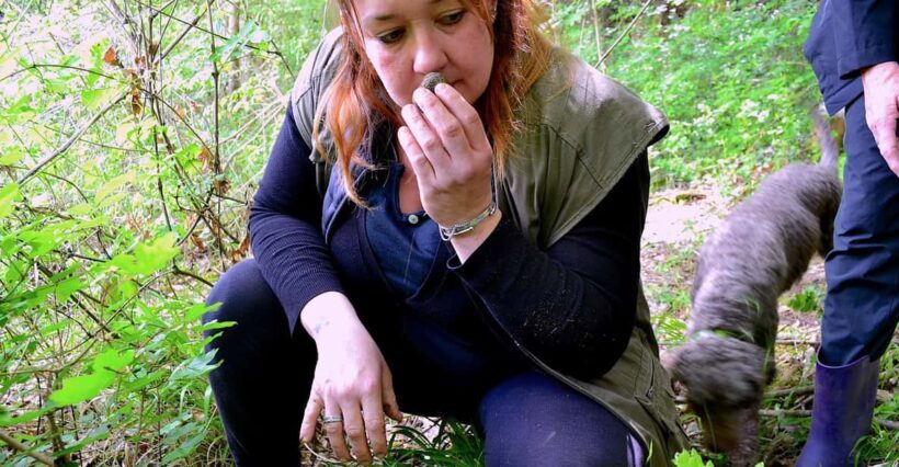 San Miniato: Truffle Hunting, Food, and Gourmet Experience - What Happens After the Hunt?