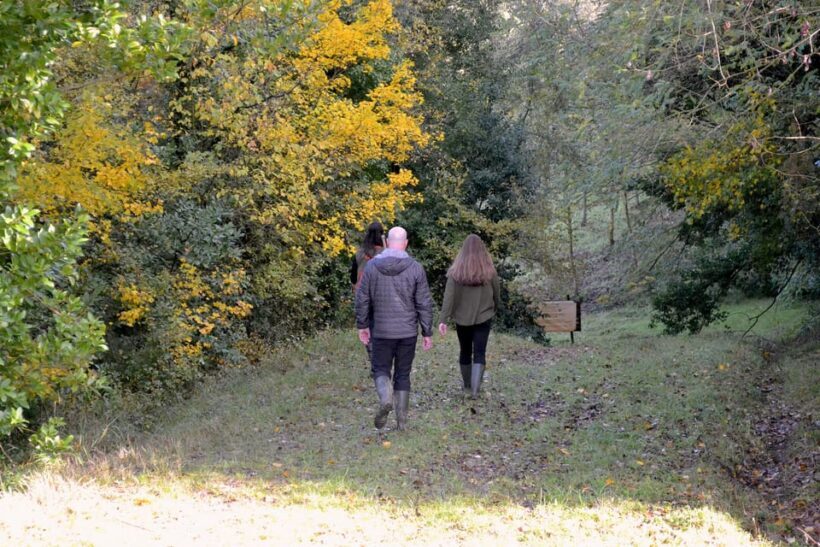 San Miniato: Truffle Hunting, Food, and Gourmet Experience - The Slight Drawback: Logistics