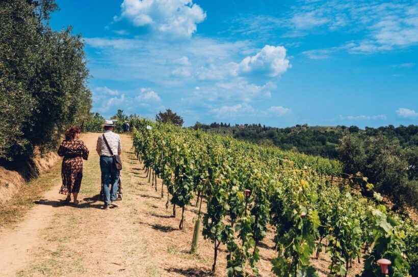 San Miniato: Wine Tour in a Family-Run Tuscan Winery - San Miniato: Wine Tour in a Family-Run Tuscan Winery